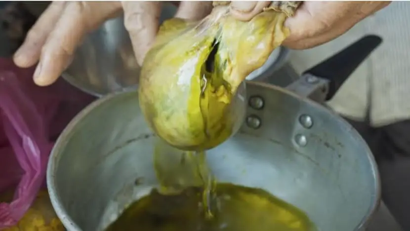 What Is Beef Bile? A complete Guide - Chef Olu