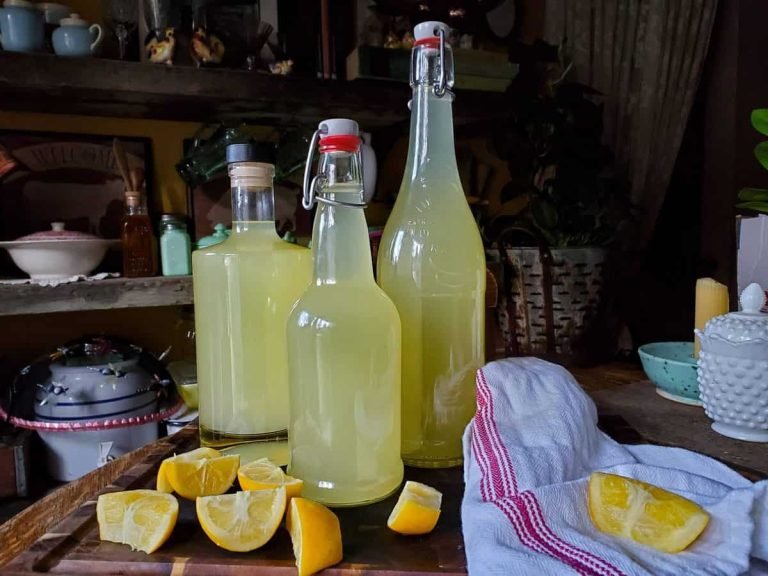 13 Lemoncello Recipes - Chef Olu